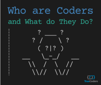 Coding Bootcamp | Who Are Coders and What do They Do? | TrueCoders